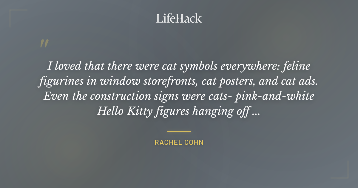 "I loved that there were cat symbols everywhere: fe..." - Rachel Cohn ...